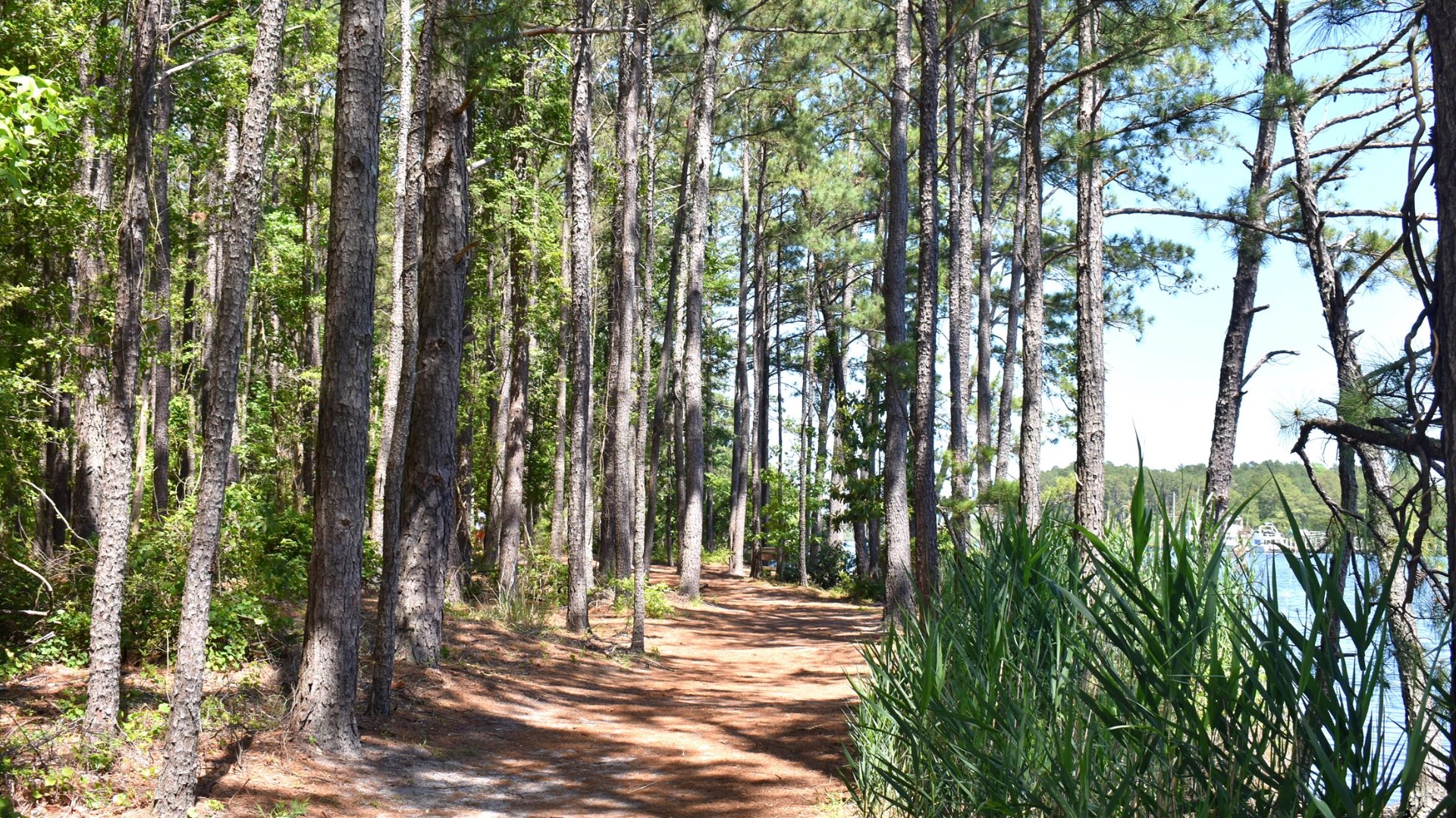 Easement issued over Battle of Great Bridge land in Chesapeake ...