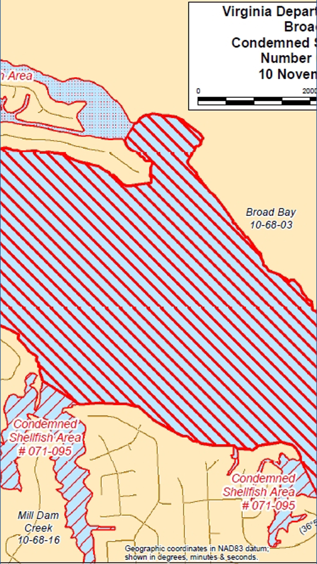 Virginia temporarily bans shellfish harvesting in Broad Bay after ...