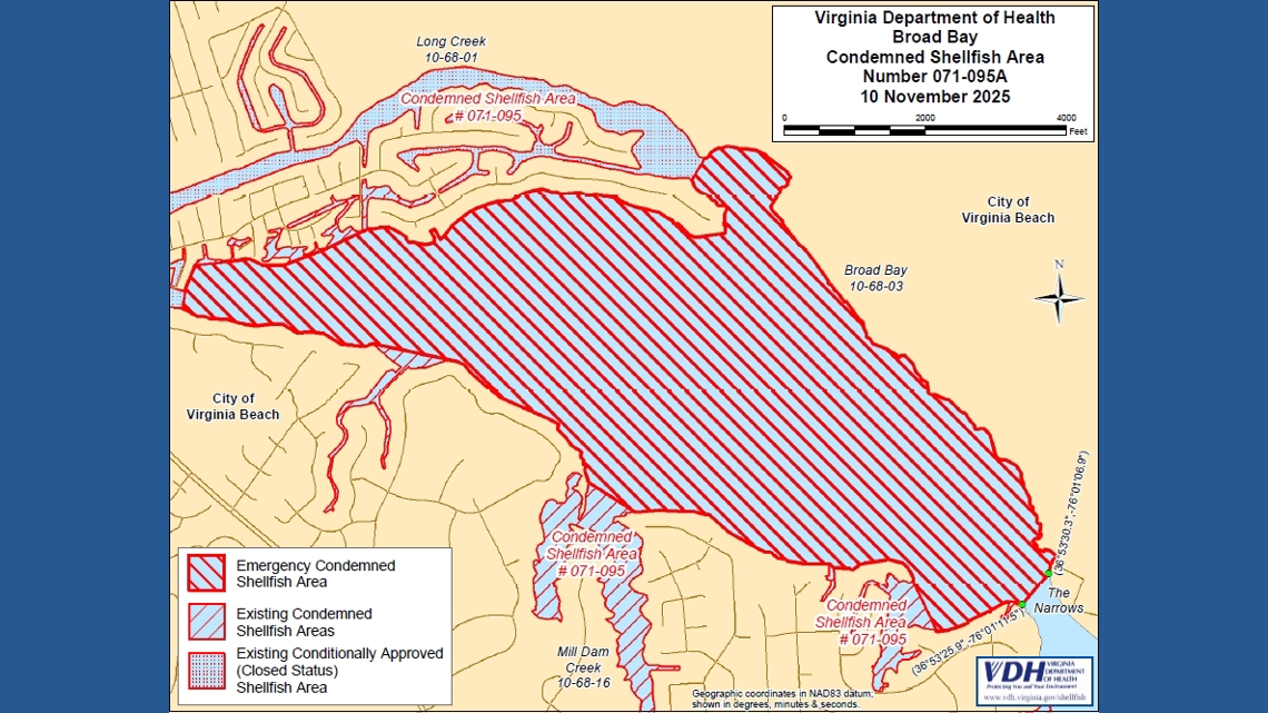 Virginia temporarily bans shellfish harvesting in Broad Bay after ...