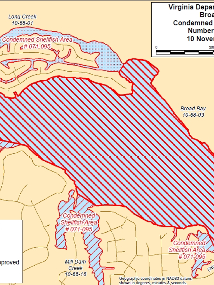 Broad Bay reopens to shellfish harvesting | 13newsnow.com