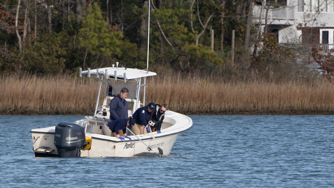 Stranding Response Program recovers dead manatee in Virginia Beach ...