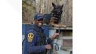 Virginia State Police K9 Storm has died | 13newsnow.com