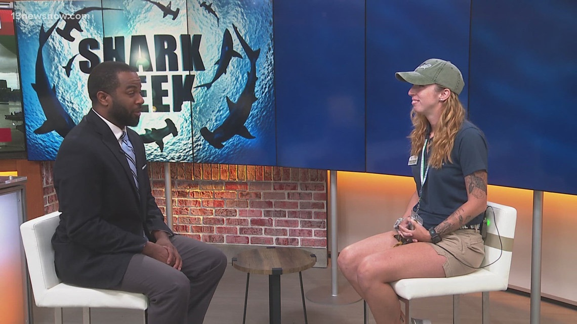 Interview: Virginia Aquarium Shark Week events | 13newsnow.com