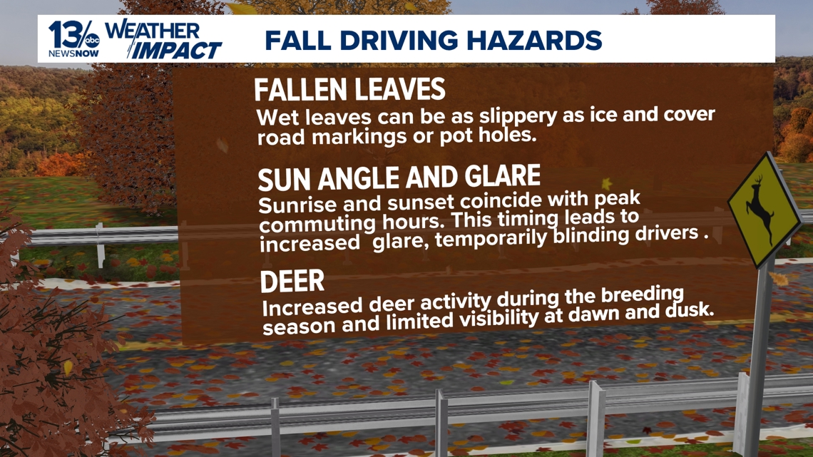Fall driving hazards: Wet leaves and sun glare require extra caution ...