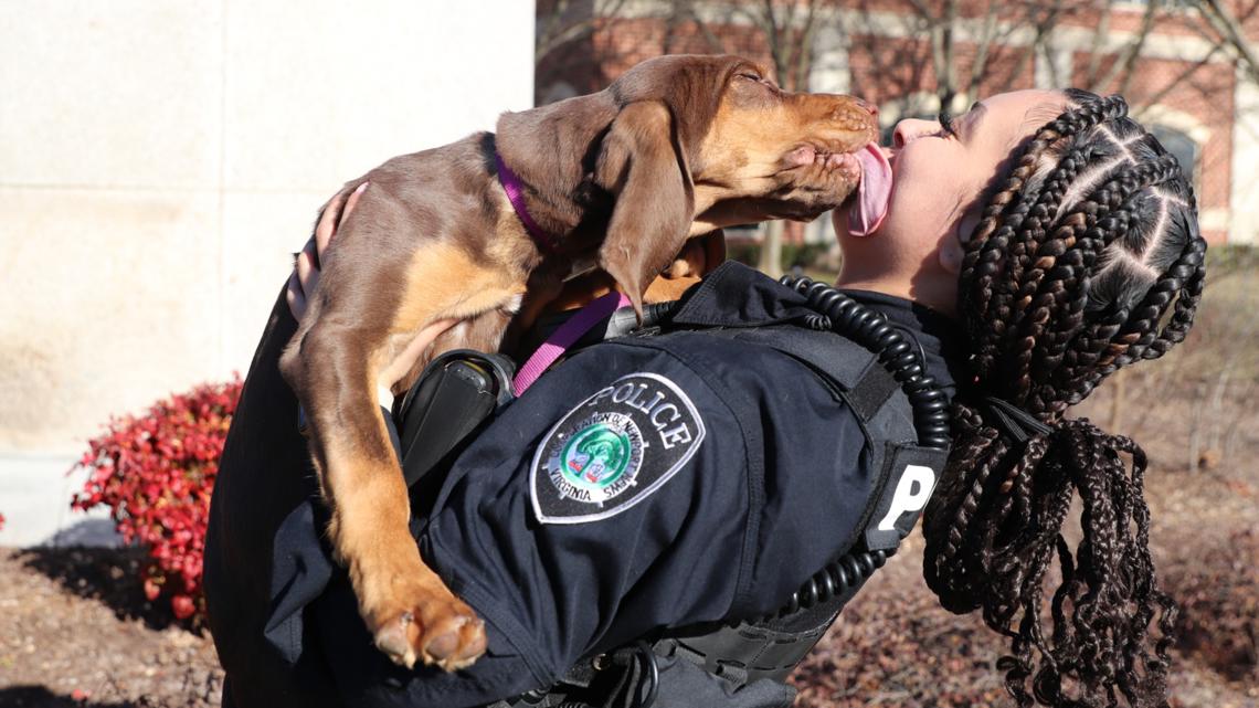 Newport News Police welcomes 'energetic' new addition | 13newsnow.com