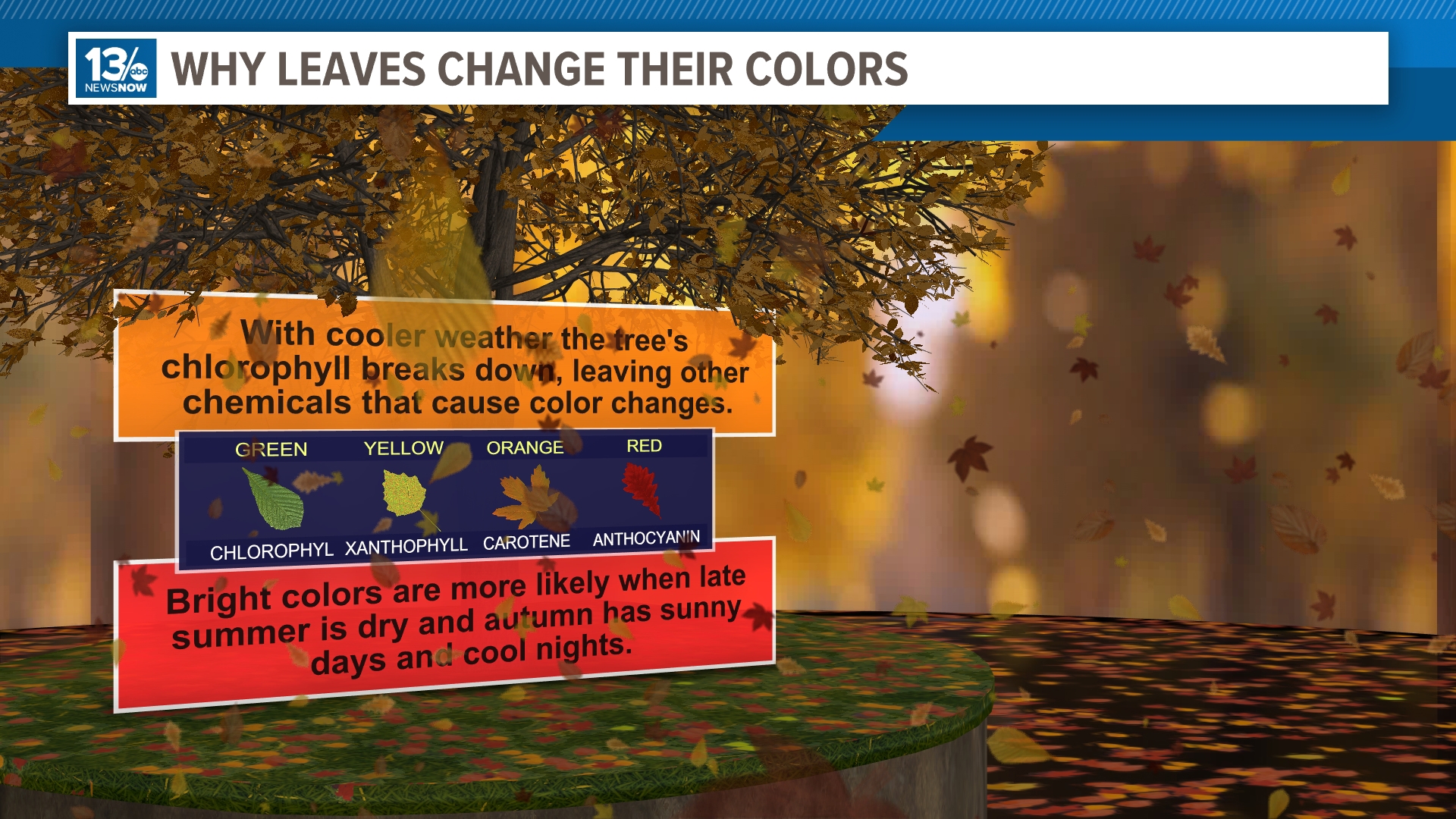 Why leaves change colors during the fall | 13newsnow.com
