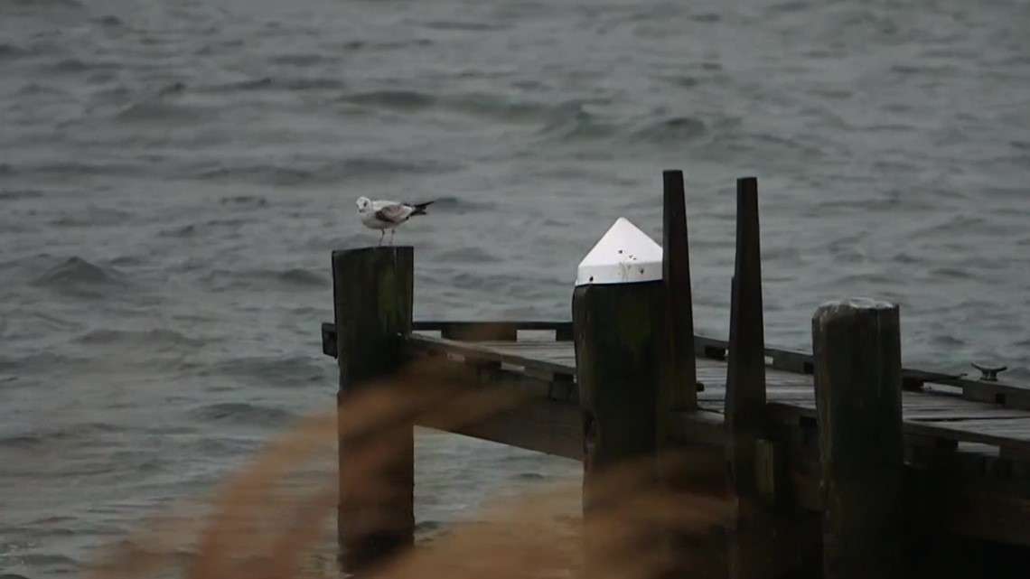 Sea level rise impacting Virginia's rural Guinea community | 13newsnow.com