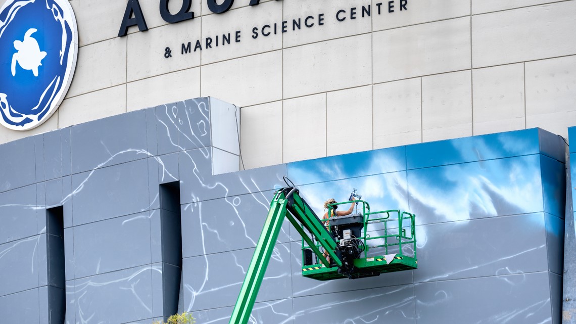 Virginia Aquarium & Marine Science Center gets new mural | 13newsnow.com