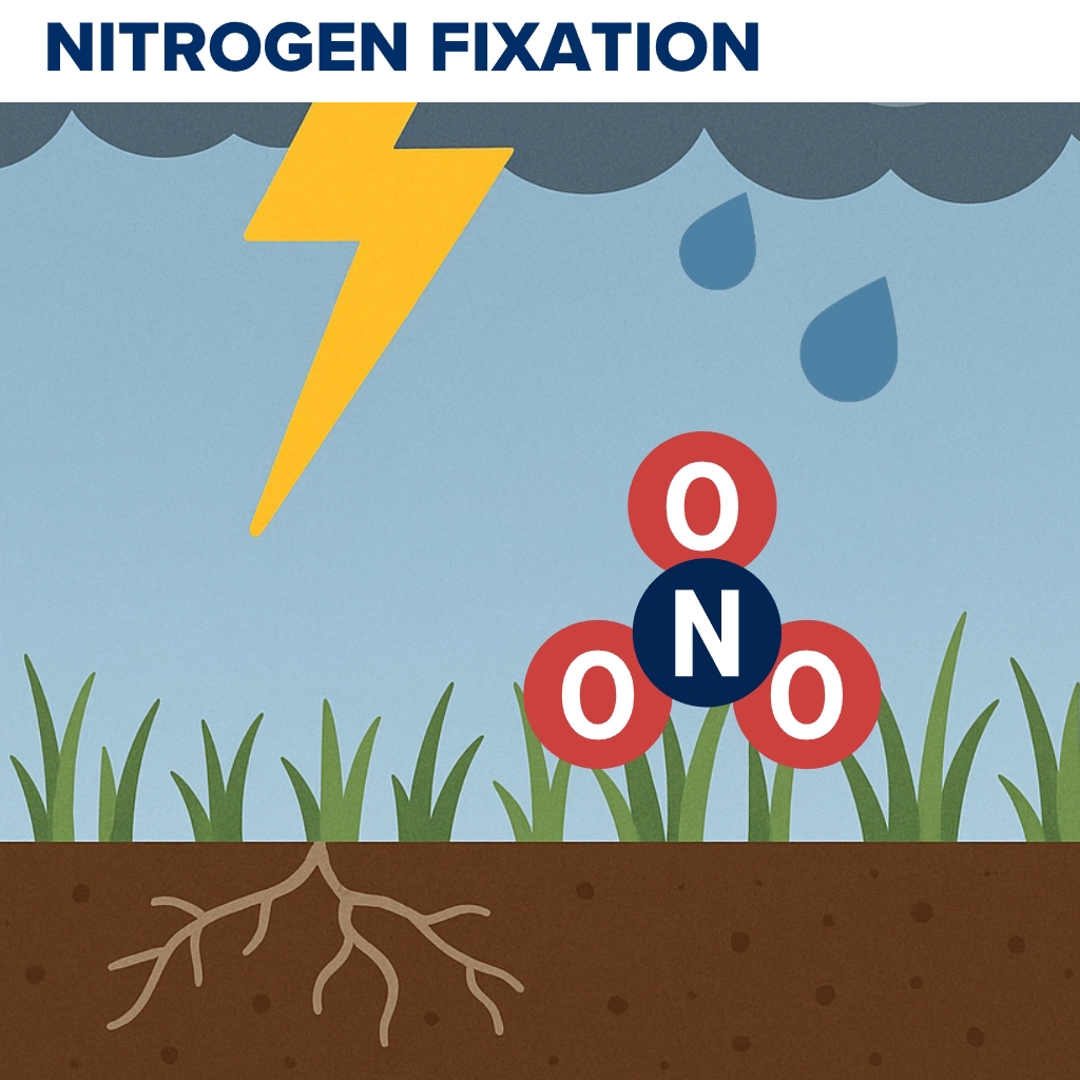 How lightning fertilizes soil with atmospheric nitrogen fixation ...