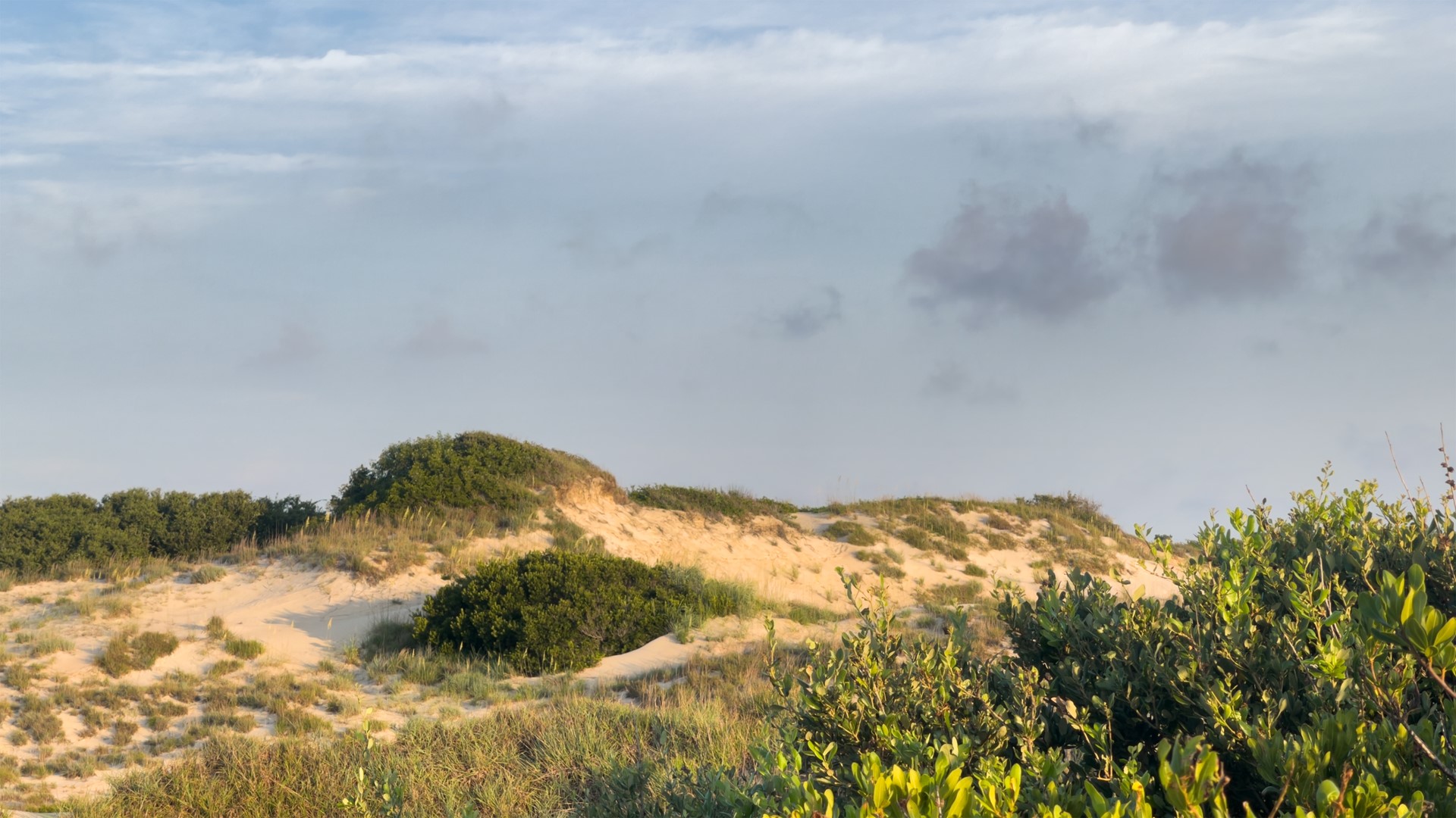 Camp on the beach at False Cape State Park in Virginia | 13newsnow.com