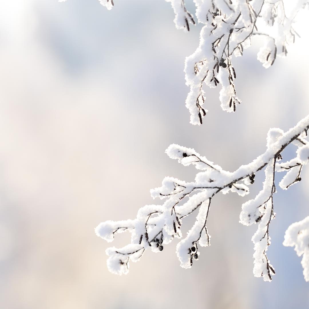 Spanberger appoints Marvin Figueroa as Virginia's health secretary | 13newsnow.com