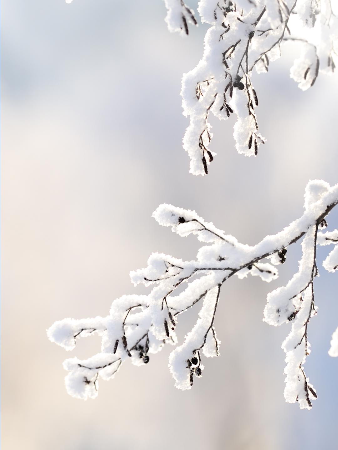 Mom of teen rapper 'Rylo Huncho' speaks after accidental shooting ...