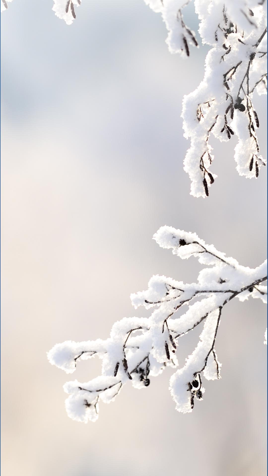 Deadly North Forsyth High stabbing: What we know | 13newsnow.com