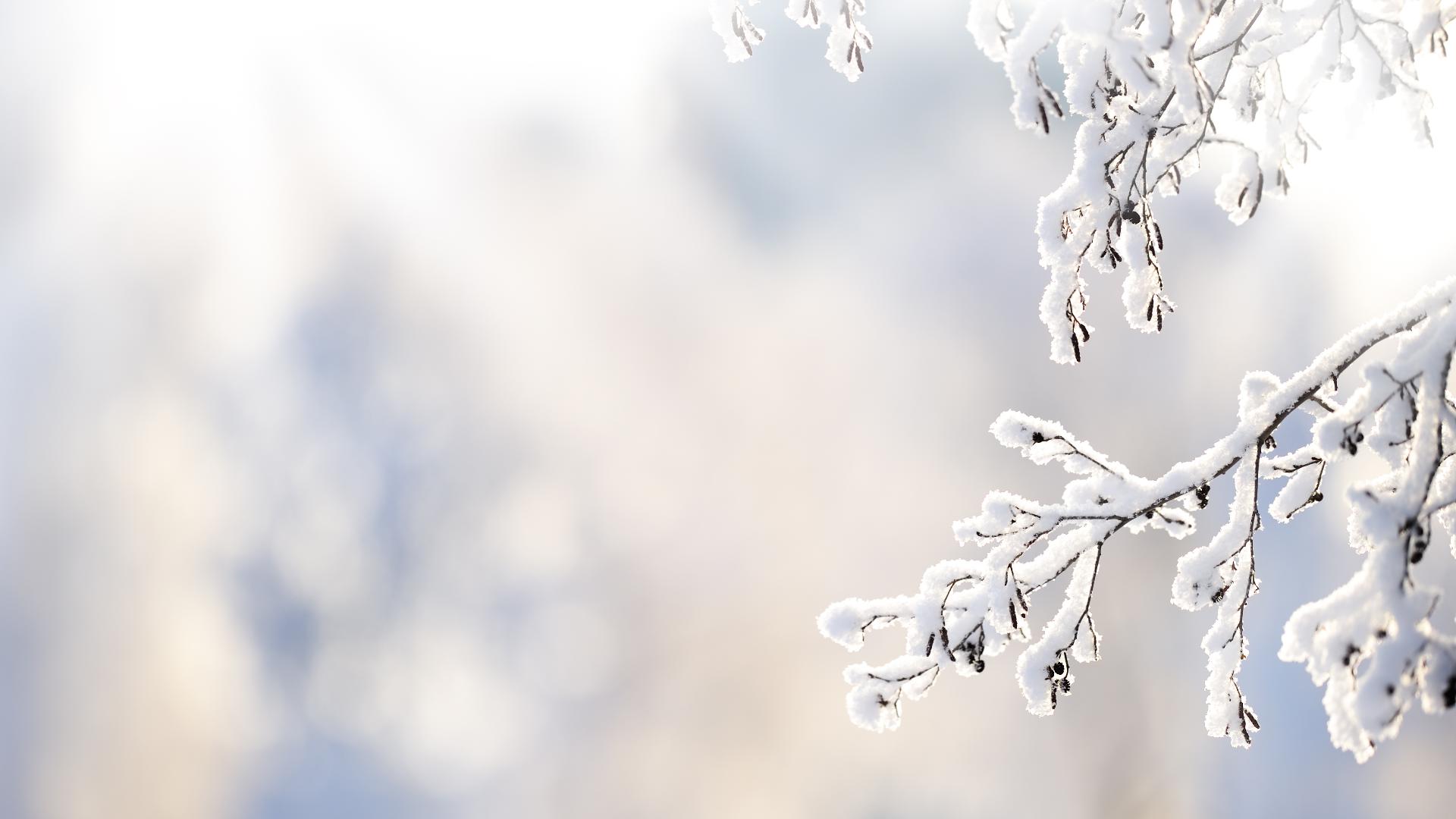 Spanberger appoints Marvin Figueroa as Virginia's health secretary | 13newsnow.com