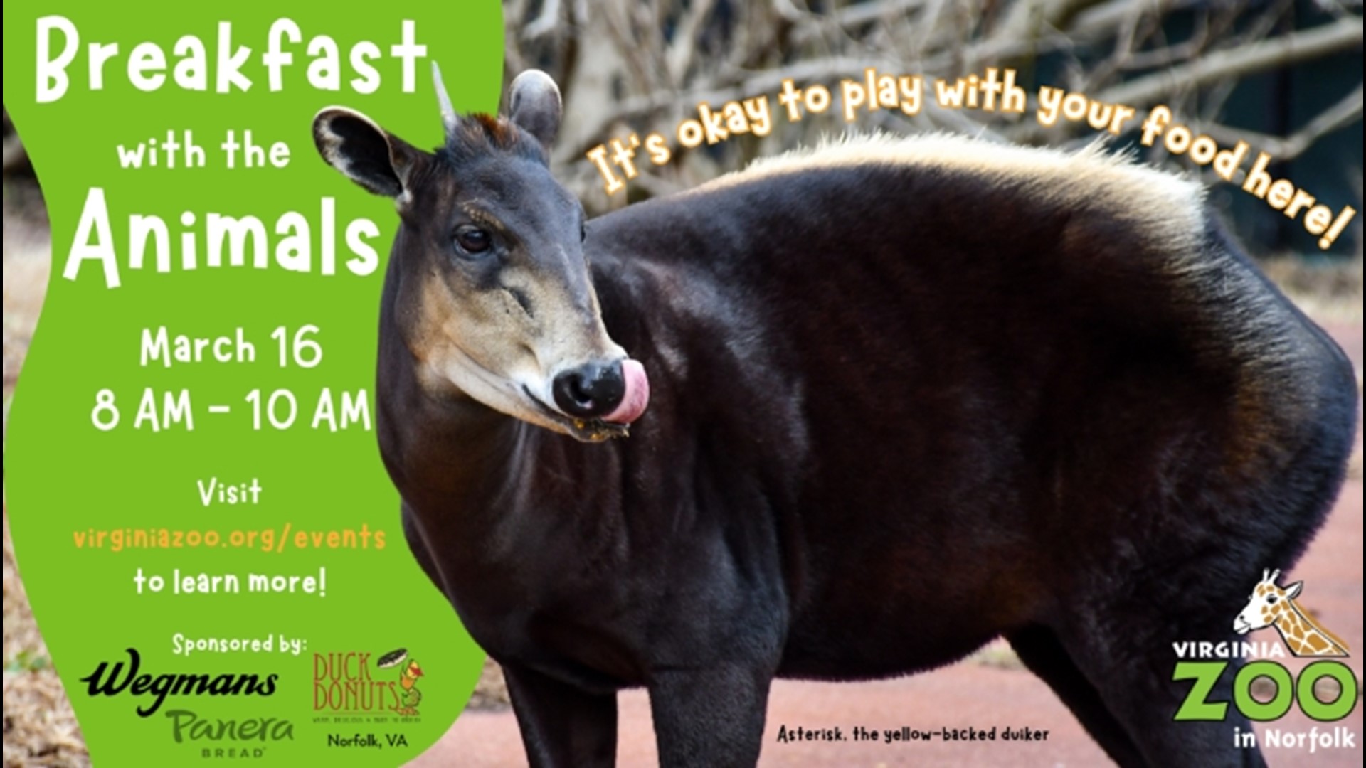 Virginia Zoo hosts event for people to eat with the animals | 13newsnow.com