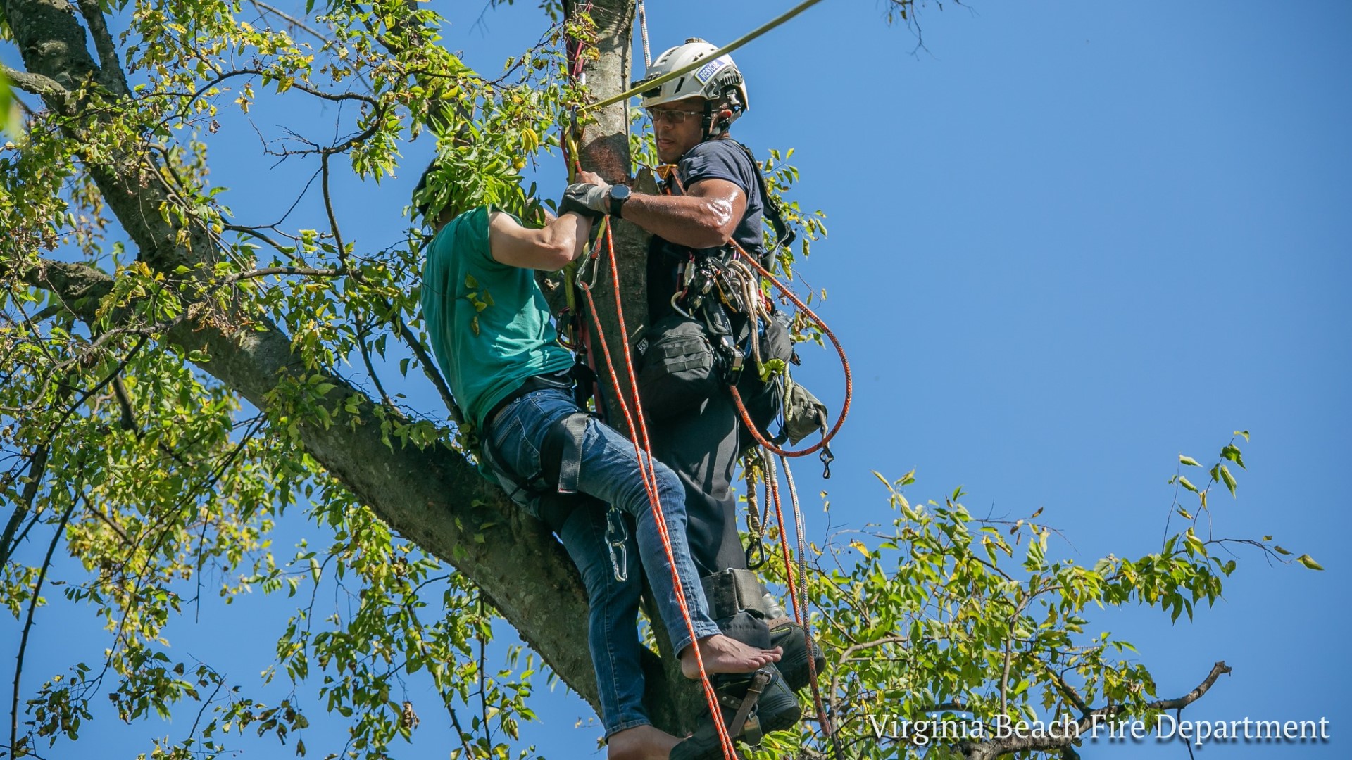 Man rescued after getting stuck in tree about 40 feet in the air ...
