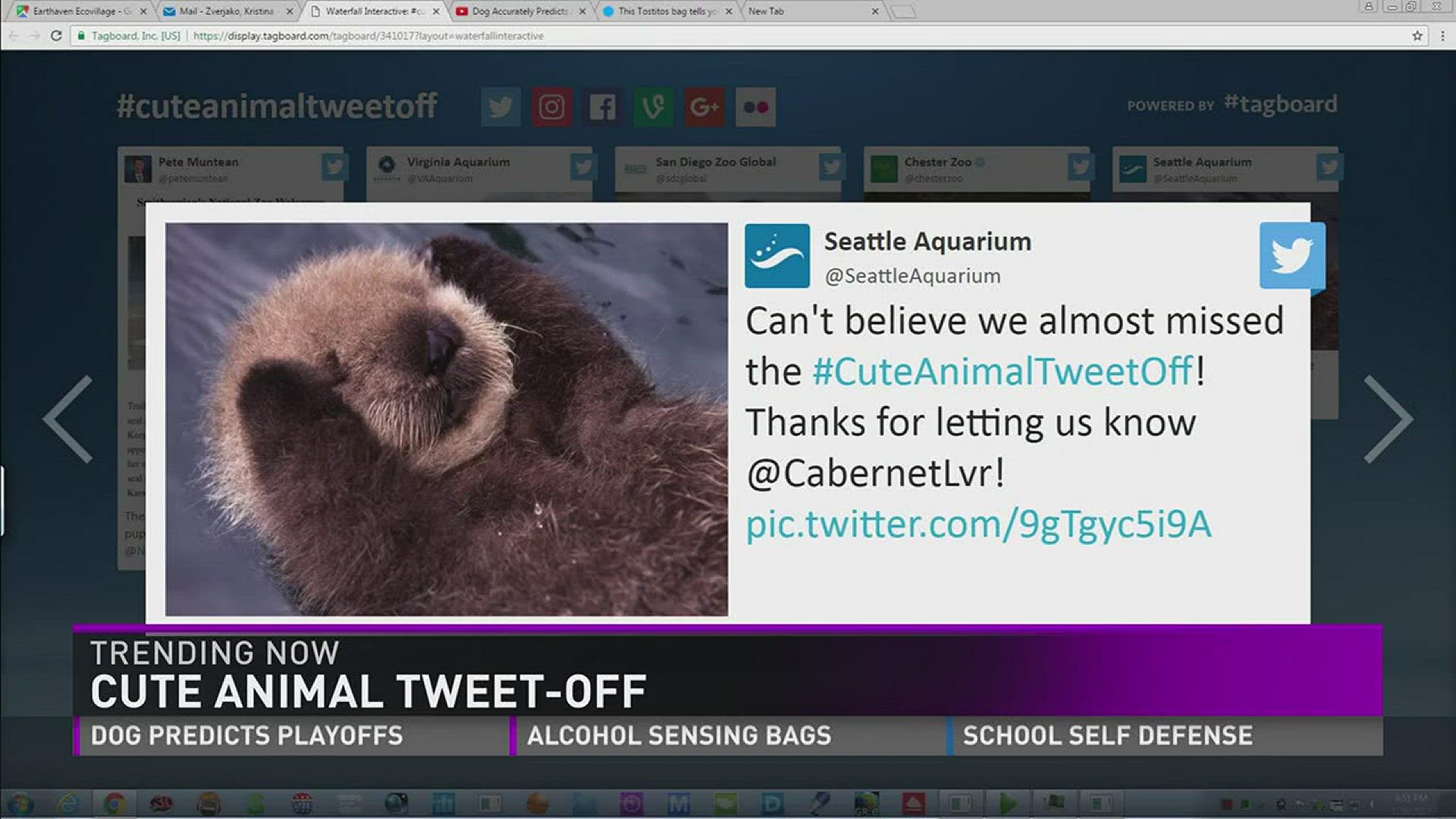 This animal-cuteness Twitter battle is the best | 13newsnow.com