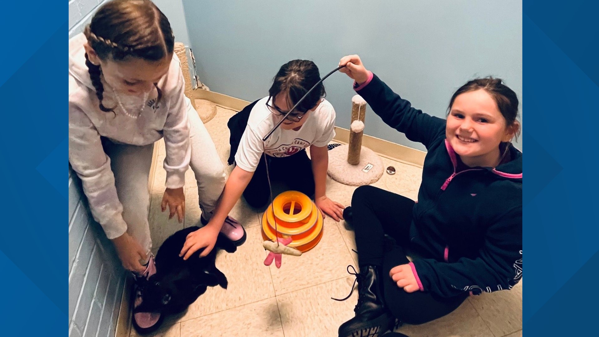 Peninsula SPCA hosts third graders to play with animals | 13newsnow.com
