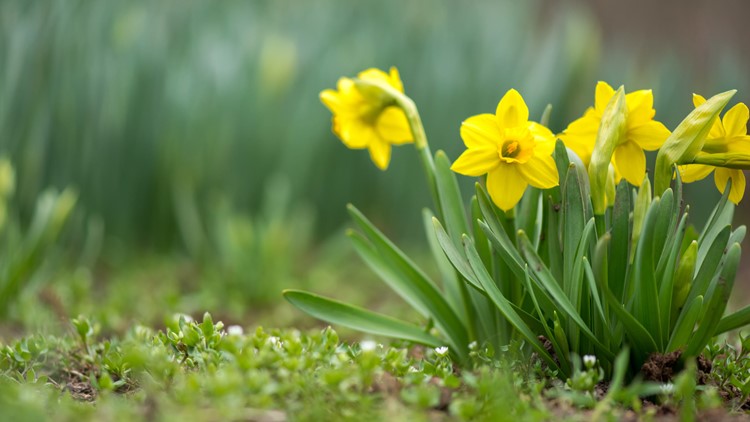 Norfolk Weather | Norfolk, Virginia | 13newsnow.com