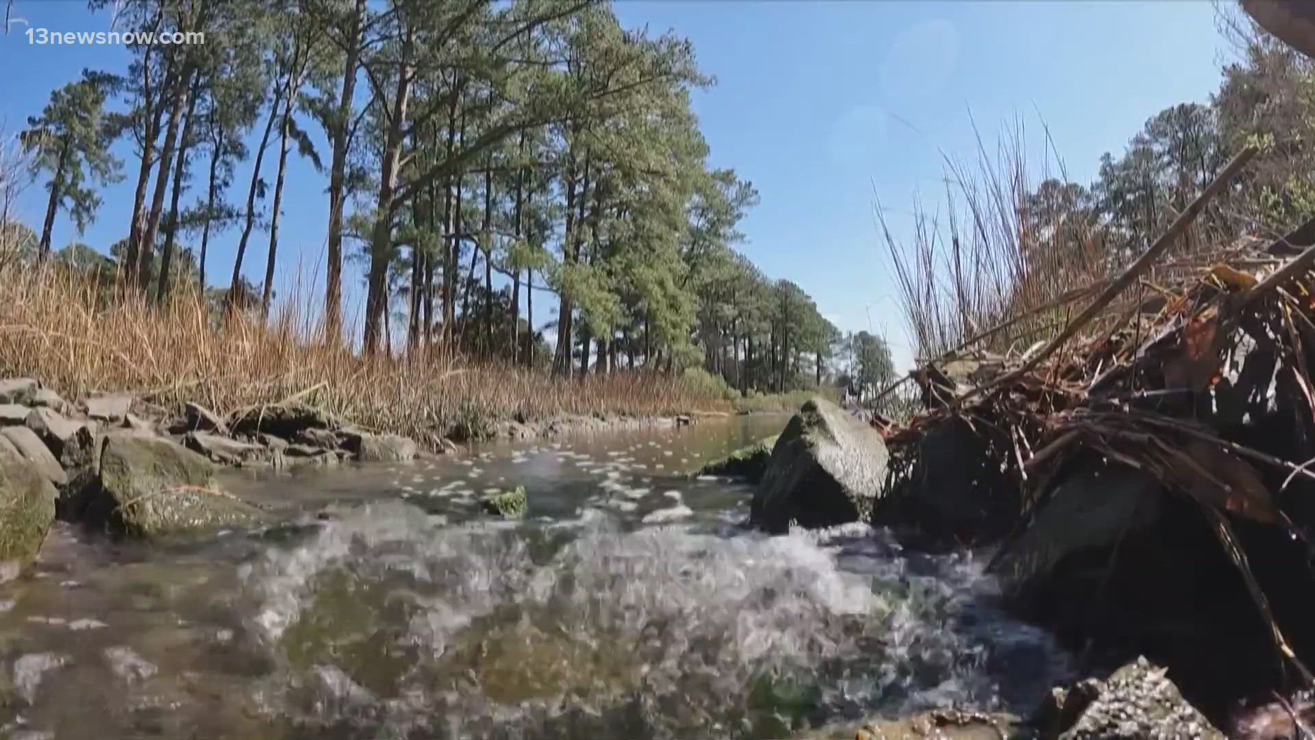 Chesapeake Bay Foundation volunteers build its largest living shoreline ...