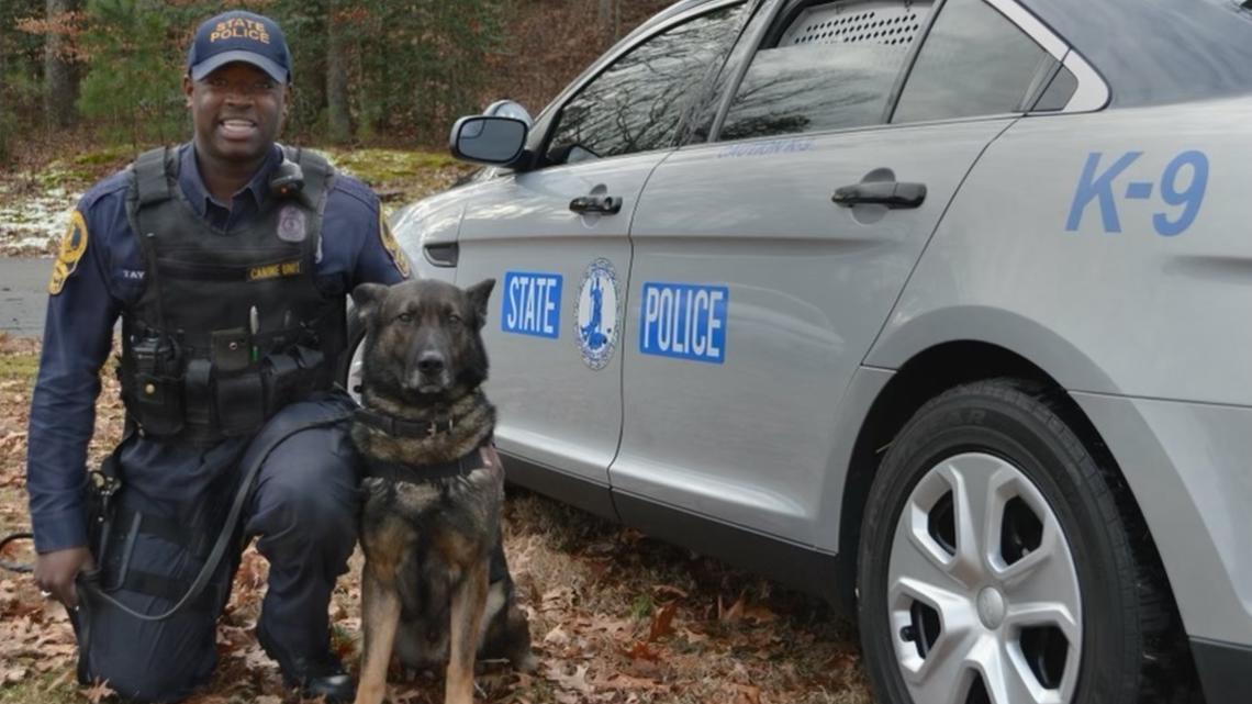 Virginia State Police K9 Storm has died | 13newsnow.com