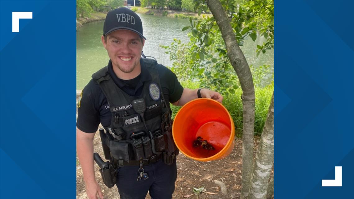 Virginia Beach officers perform adorable duckling rescue | 13newsnow.com