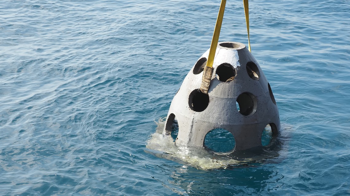 VSSA looks for anglers to drop artificial reefs off Ocean View ...