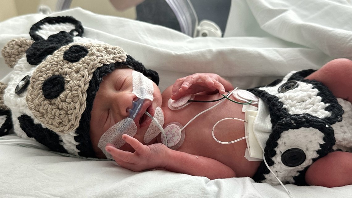 Riverside dresses babies up in "Barnyard Bash" Halloween costumes ...