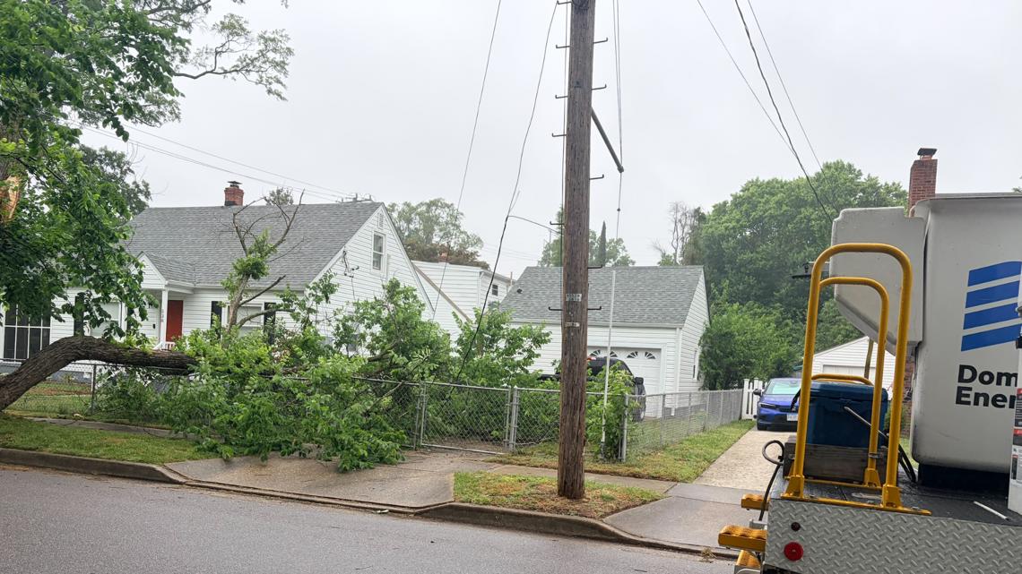 Dominion Energy crews respond to downed tree, power outage on Meads ...