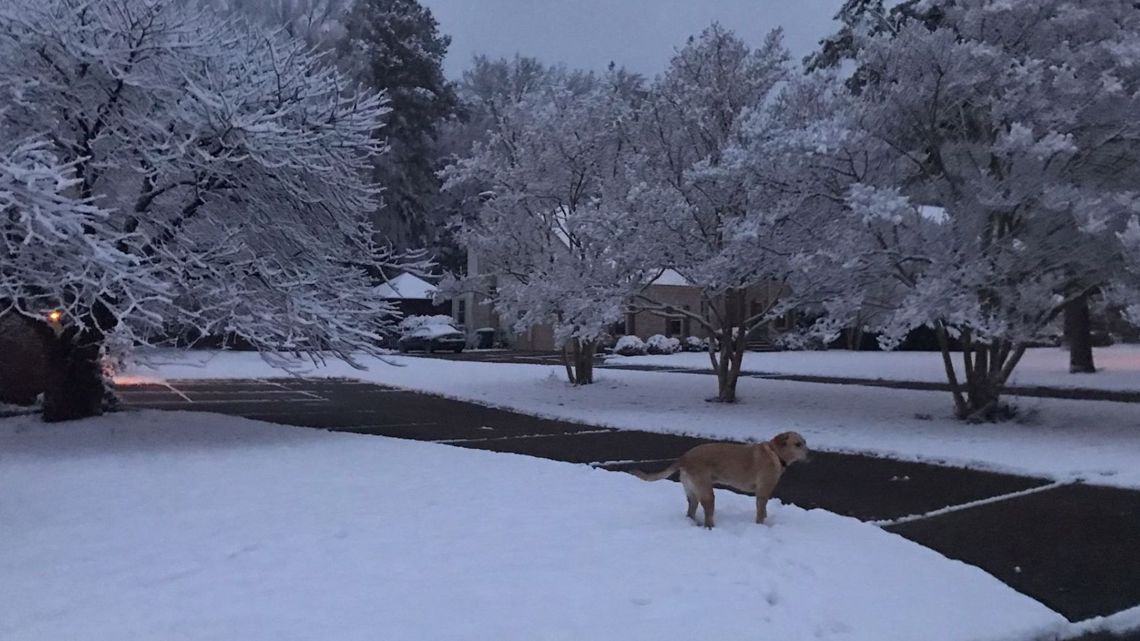 Snow Day: Photos of the snowfall across Hampton Roads, North Carolina ...