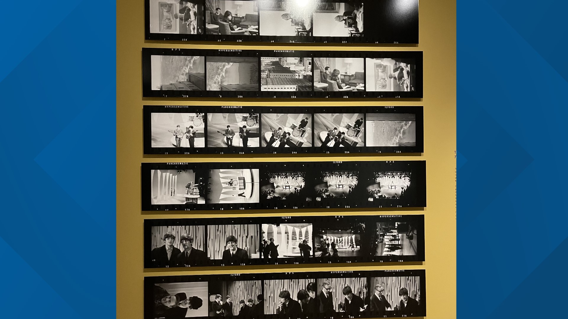 Chrysler Museum of Art hosts Paul McCartney Photographs exhibit ...