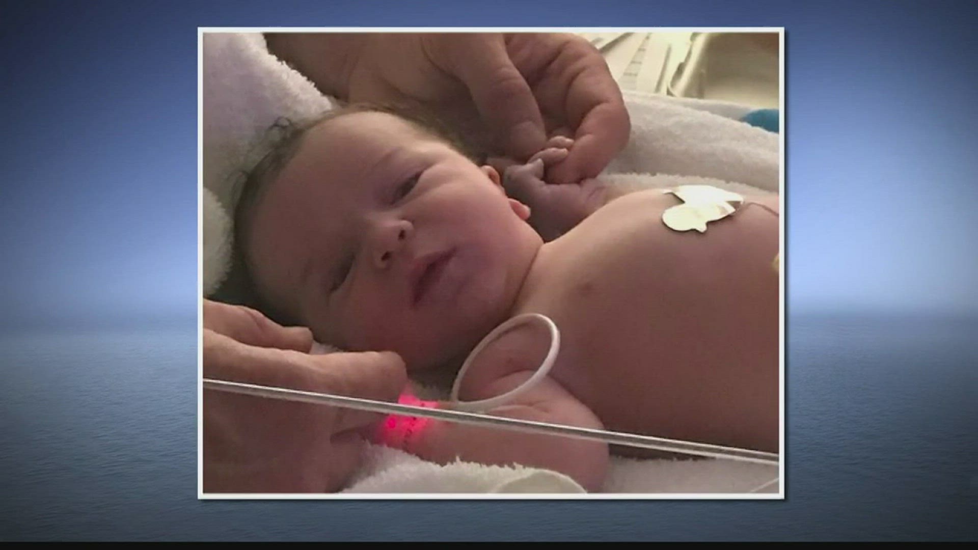 13News Now Daybreak anchor Lucy Bustamante welcomes baby boy ...