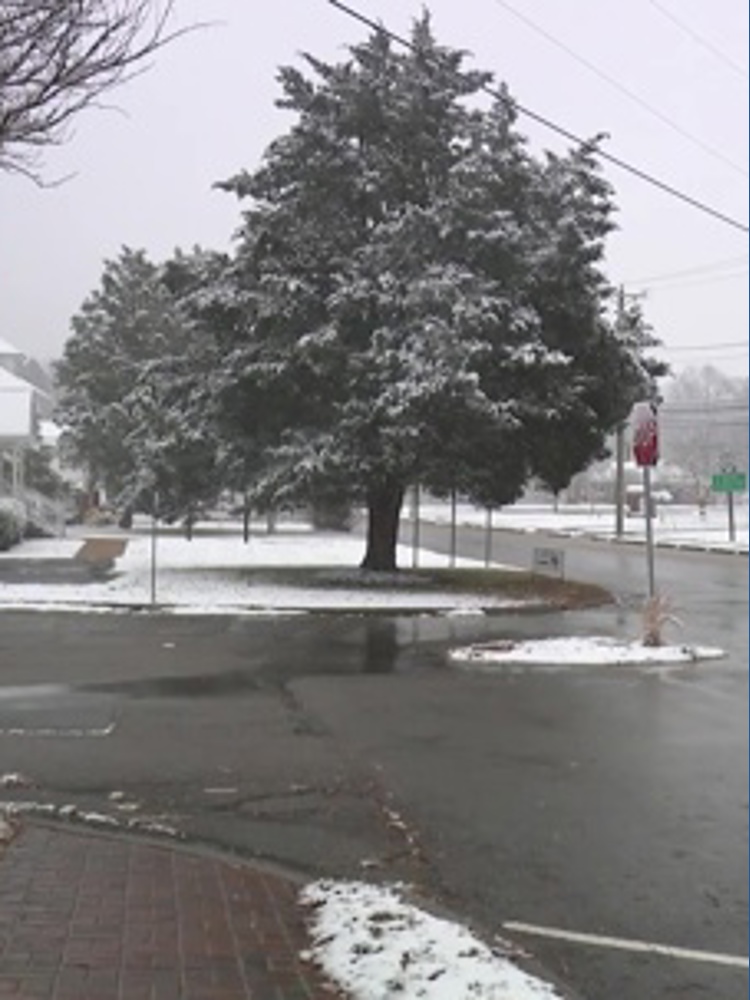 What criteria define the risk categories for potential severe storms ...