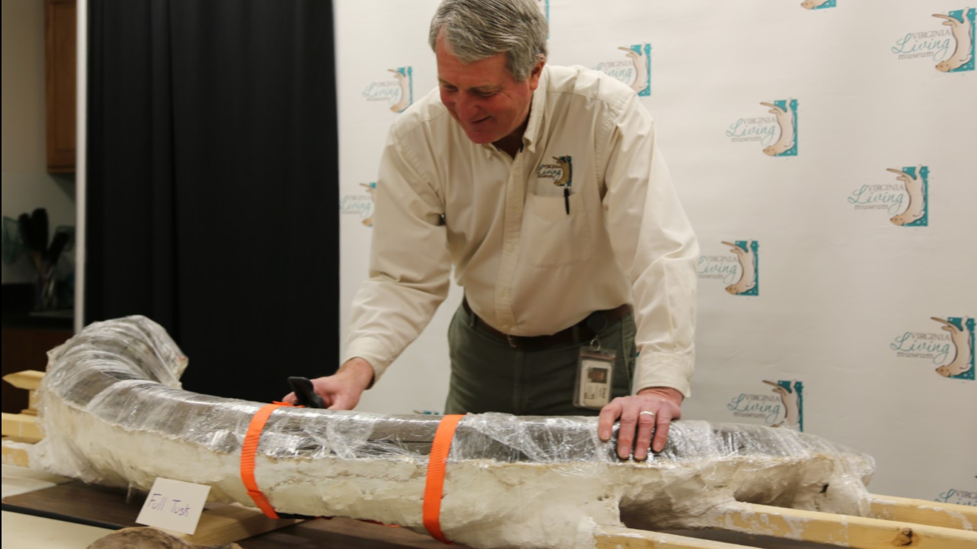 Ancient mastodon bones the first discovered in eastern Virginia, date ...