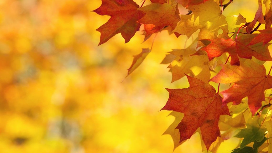 Break out the pumpkin spice: Sept. 1 starts meteorological fall ...