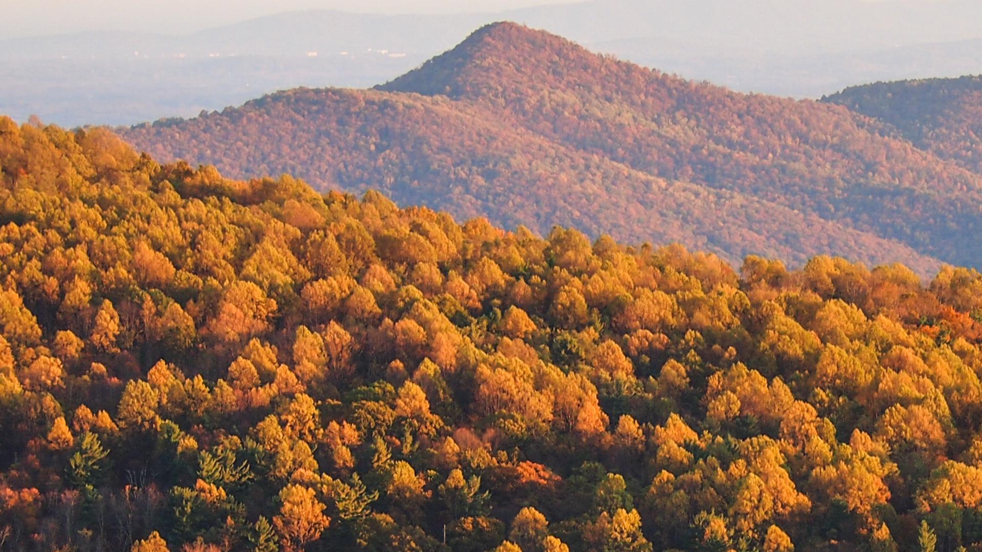 When is peak fall foliage in Virginia? The state's Department of ...
