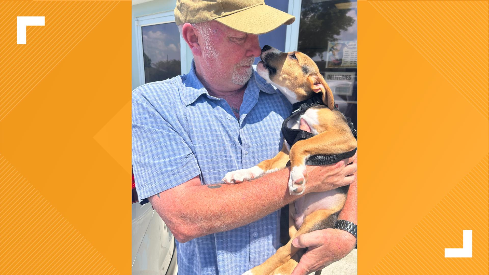 Missing puppy Droolius Caesar returns to Virginia Beach rescue group | 13newsnow.com