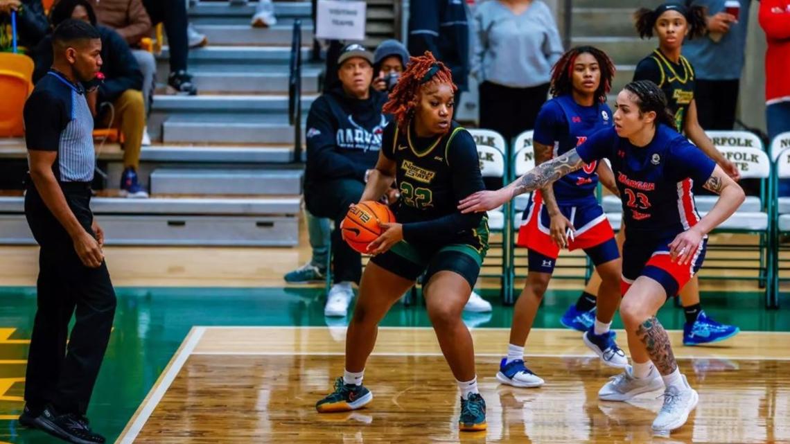 Fabio's face vs. goose roller coaster accident at Busch Gardens ...