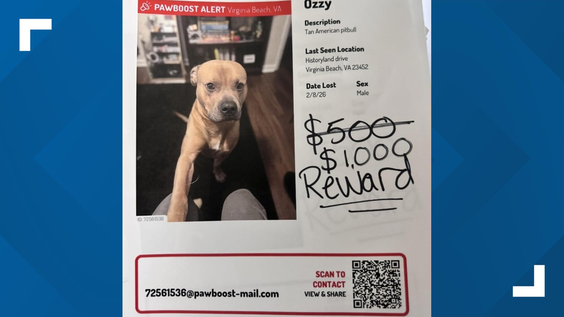 Scam targets owners of missing pets; Virginia Beach man speaks out ...