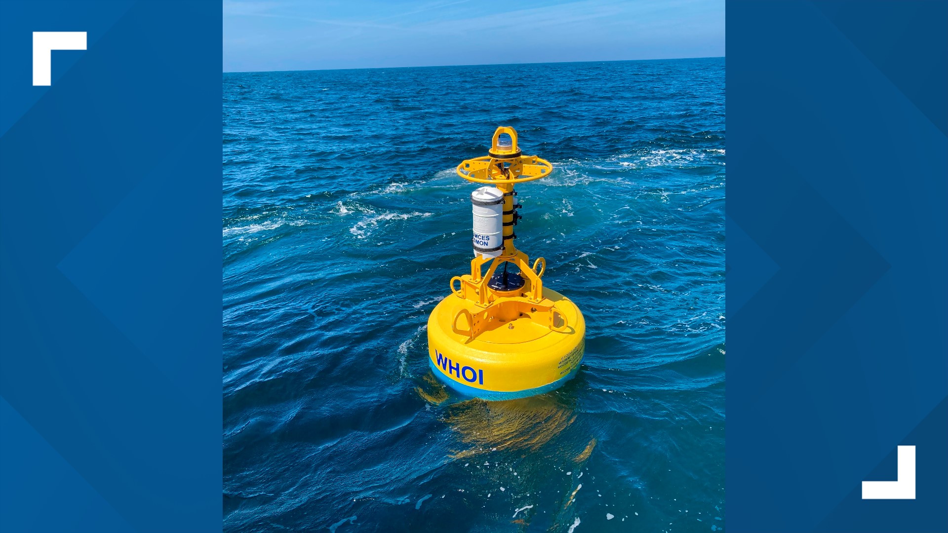 Robotic buoys developed to keep North Atlantic right whales safe ...