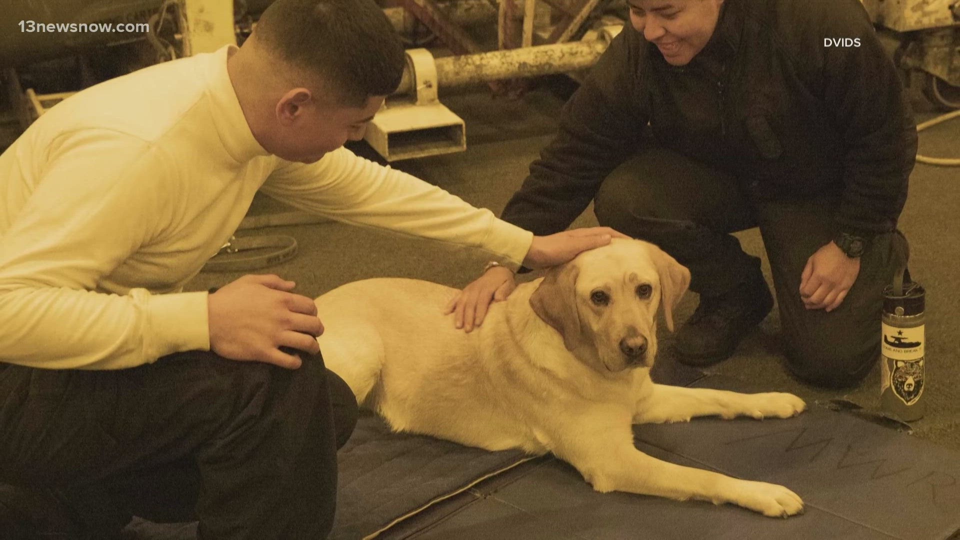 Sage, the first U.S. Navy ship canine returns home | 13newsnow.com