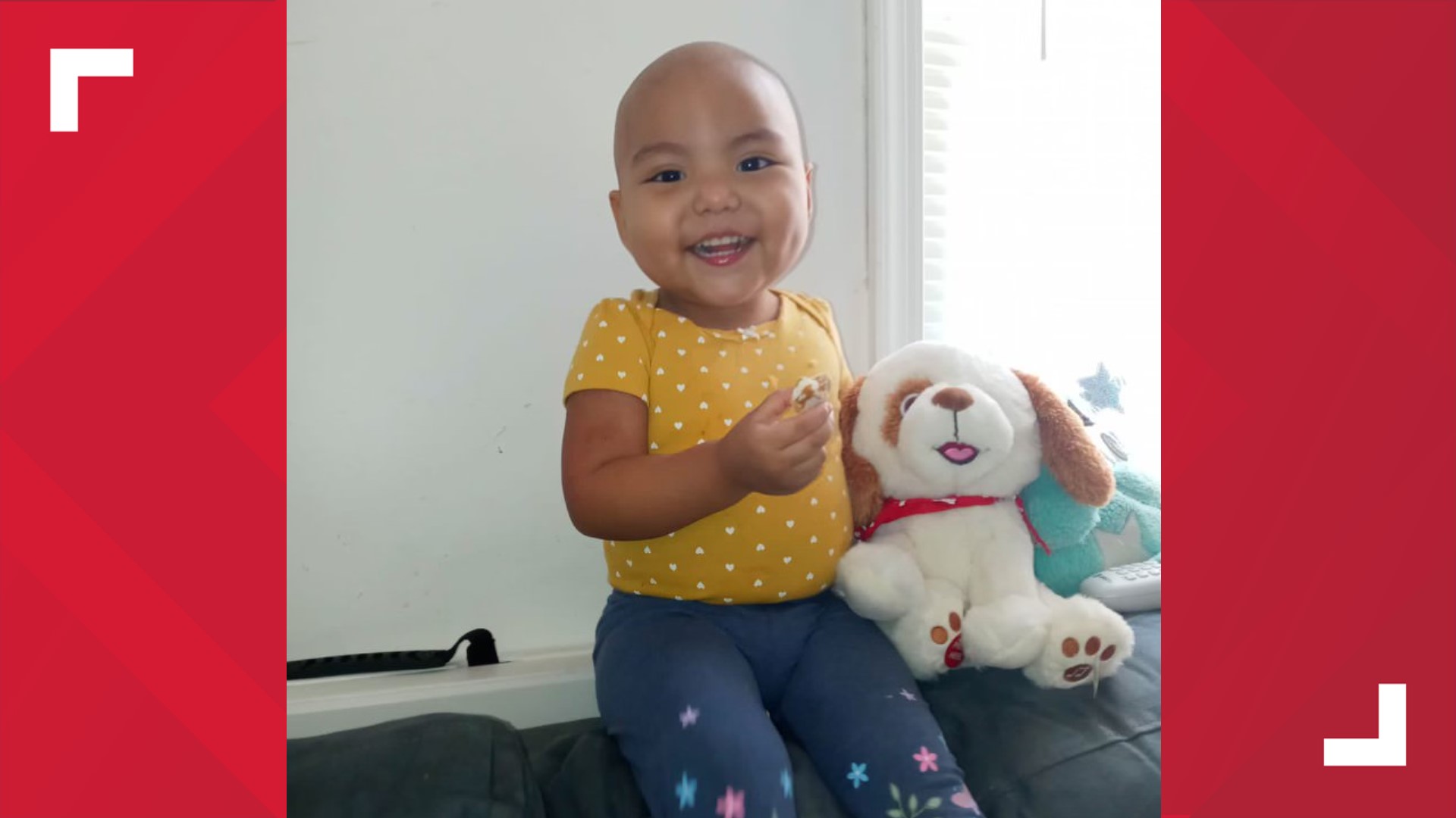 Roc Solid Foundation builds playset for girl battling cancer ...