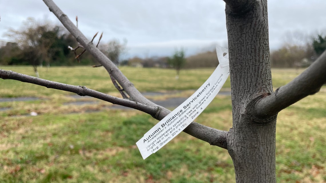 Newport News Green Foundation addresses food insecurity by planting ...