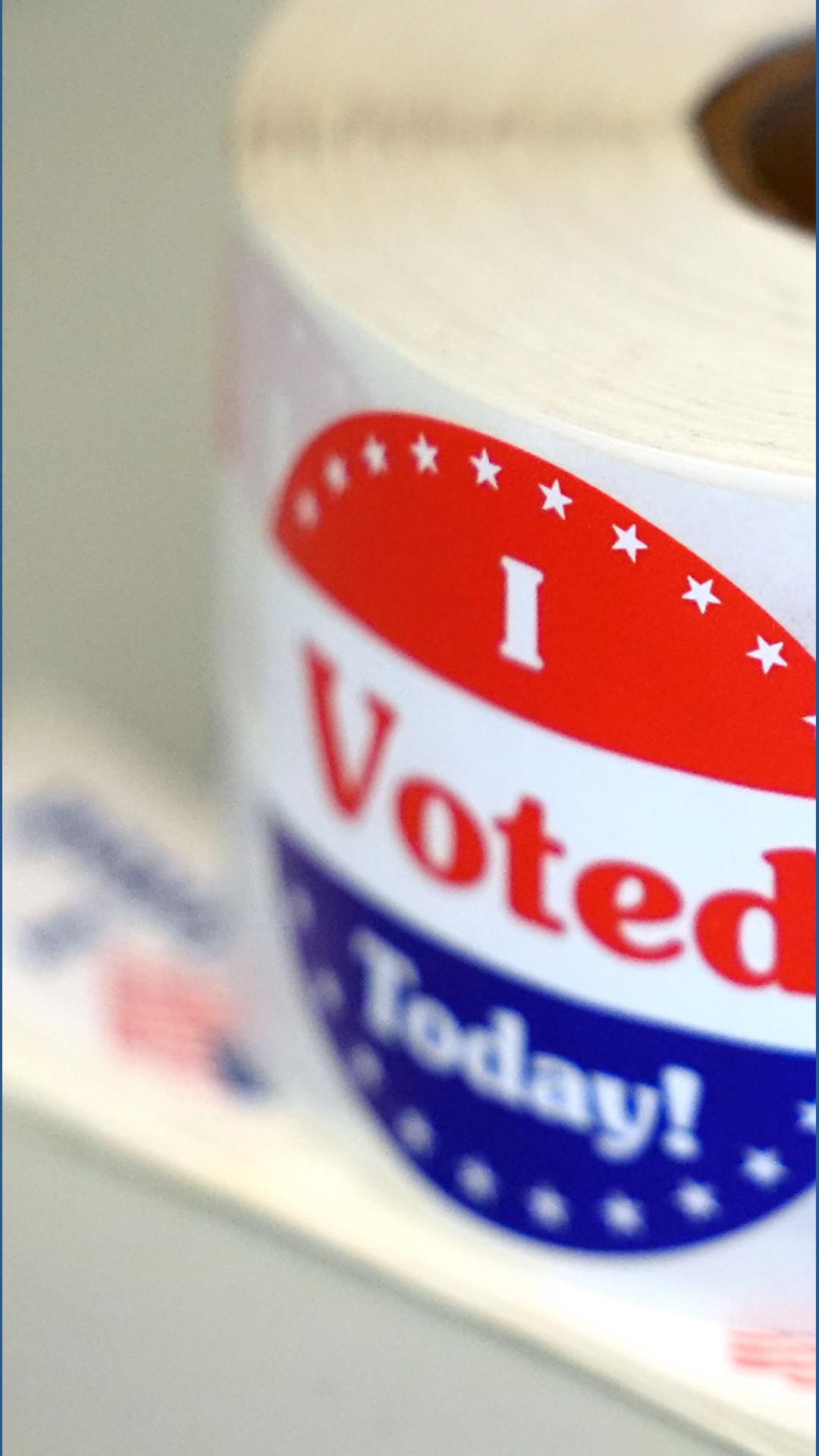 Early voter guide: Virginia primary election set for June 17 ...