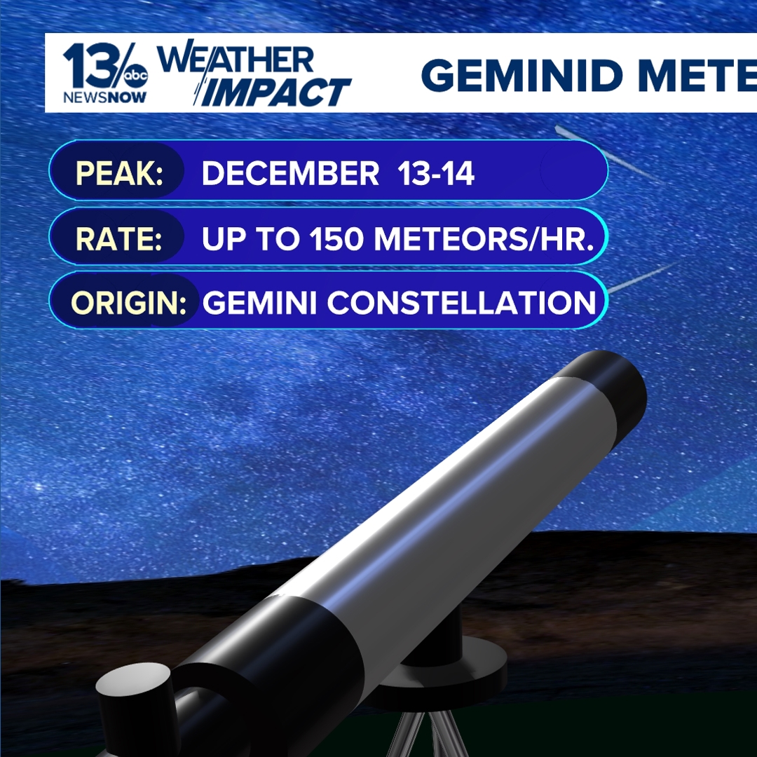 Fabio's face vs. goose roller coaster accident at Busch Gardens ...