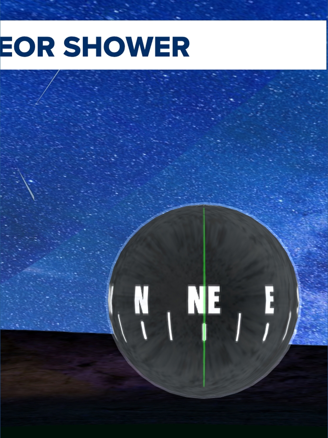 Fabio's face vs. goose roller coaster accident at Busch Gardens ...