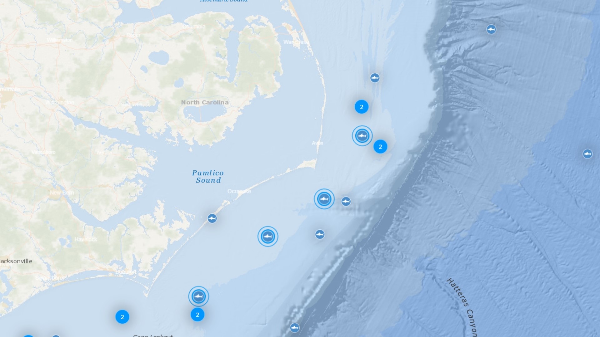 Viral OBX shark photos are fake, but several great whites pinged ...