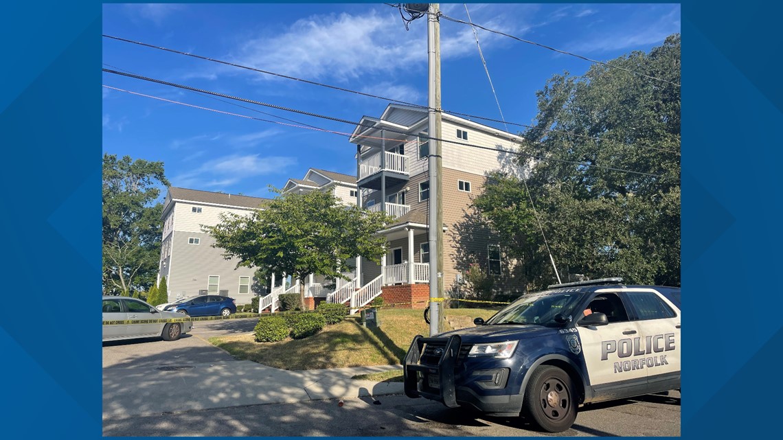 NSU and ODU police chiefs discuss safety following mass shooting ...