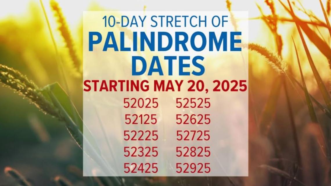 Palindrome Week 2025: Ten straight dates that can be read backwards and ...