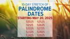 Palindrome Week 2025: Ten straight dates that can be read backwards and ...
